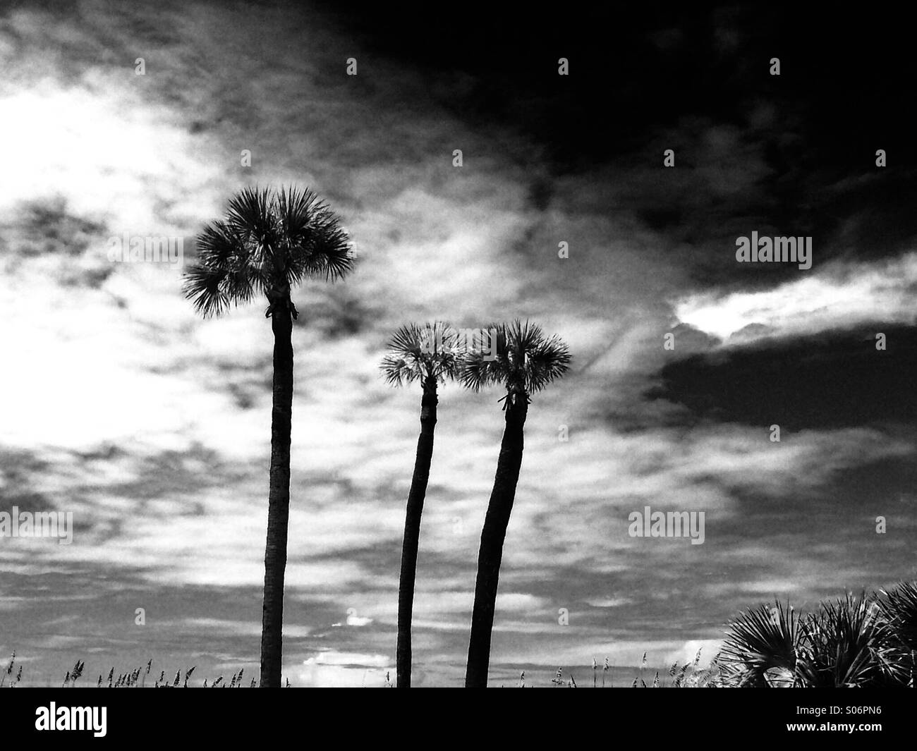 Triology hi-res stock photography and images - Alamy