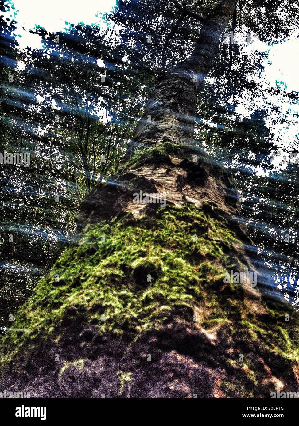 Rays of sunshine hi-res stock photography and images - Alamy