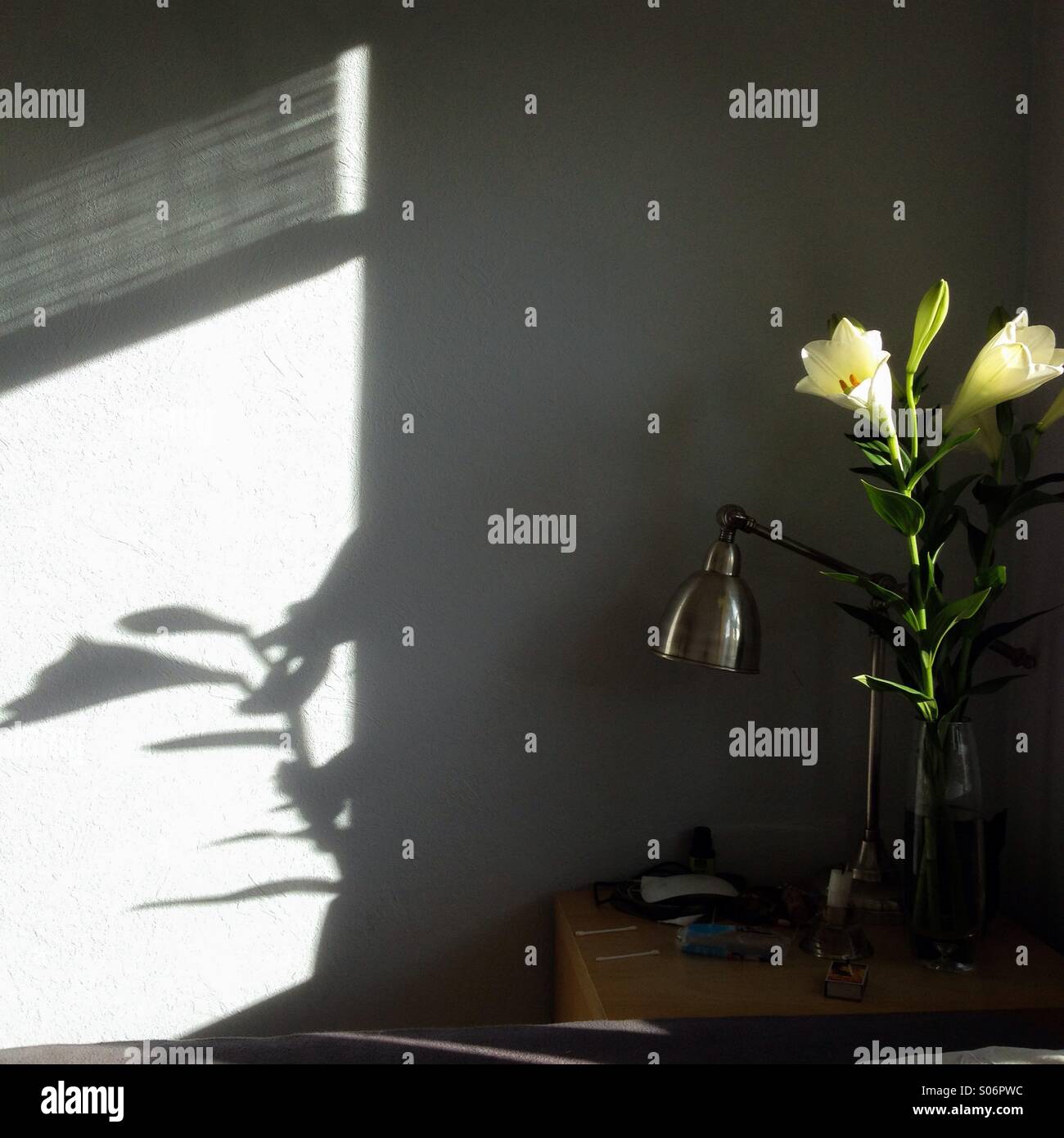 Shadow flowers hi-res stock photography and images - Alamy