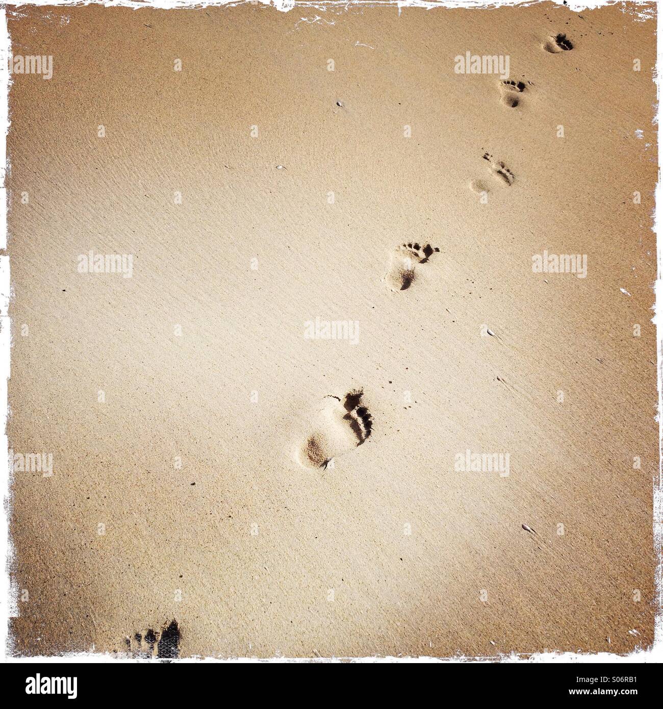 Footprints in sand crossing a beach Stock Photo - Alamy