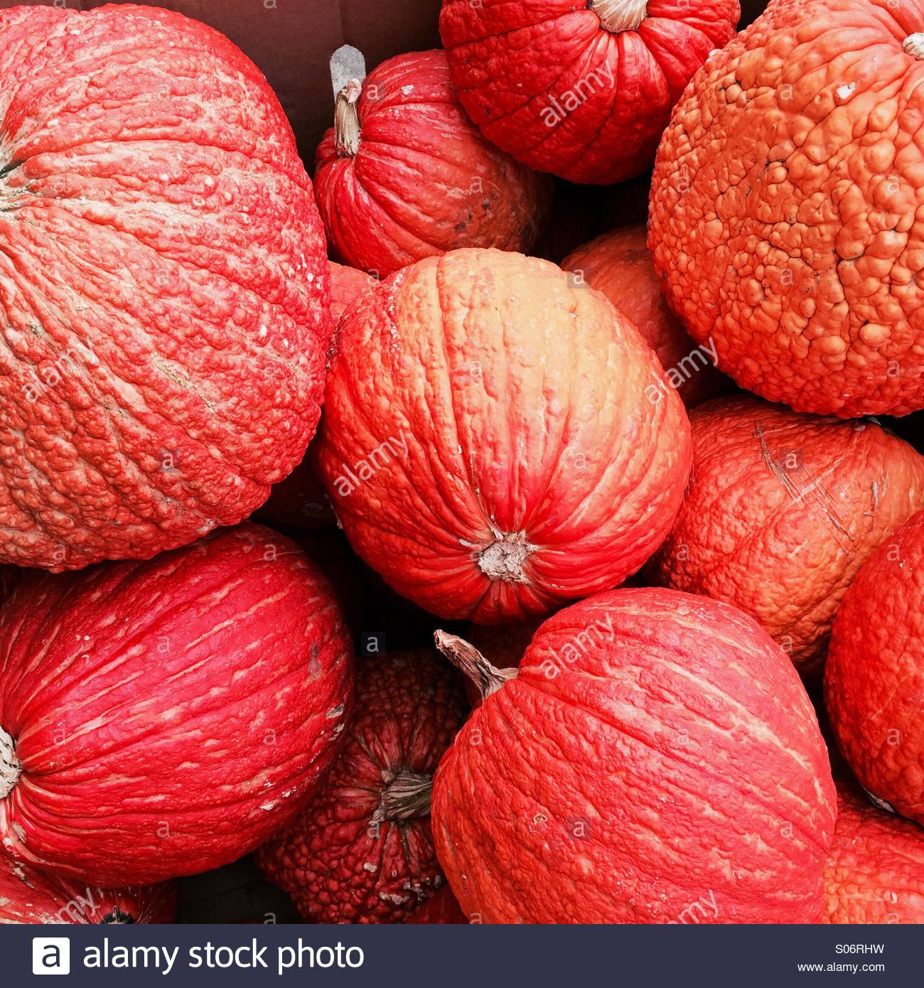 Red Orange High Resolution Stock Photography and Images - Alamy