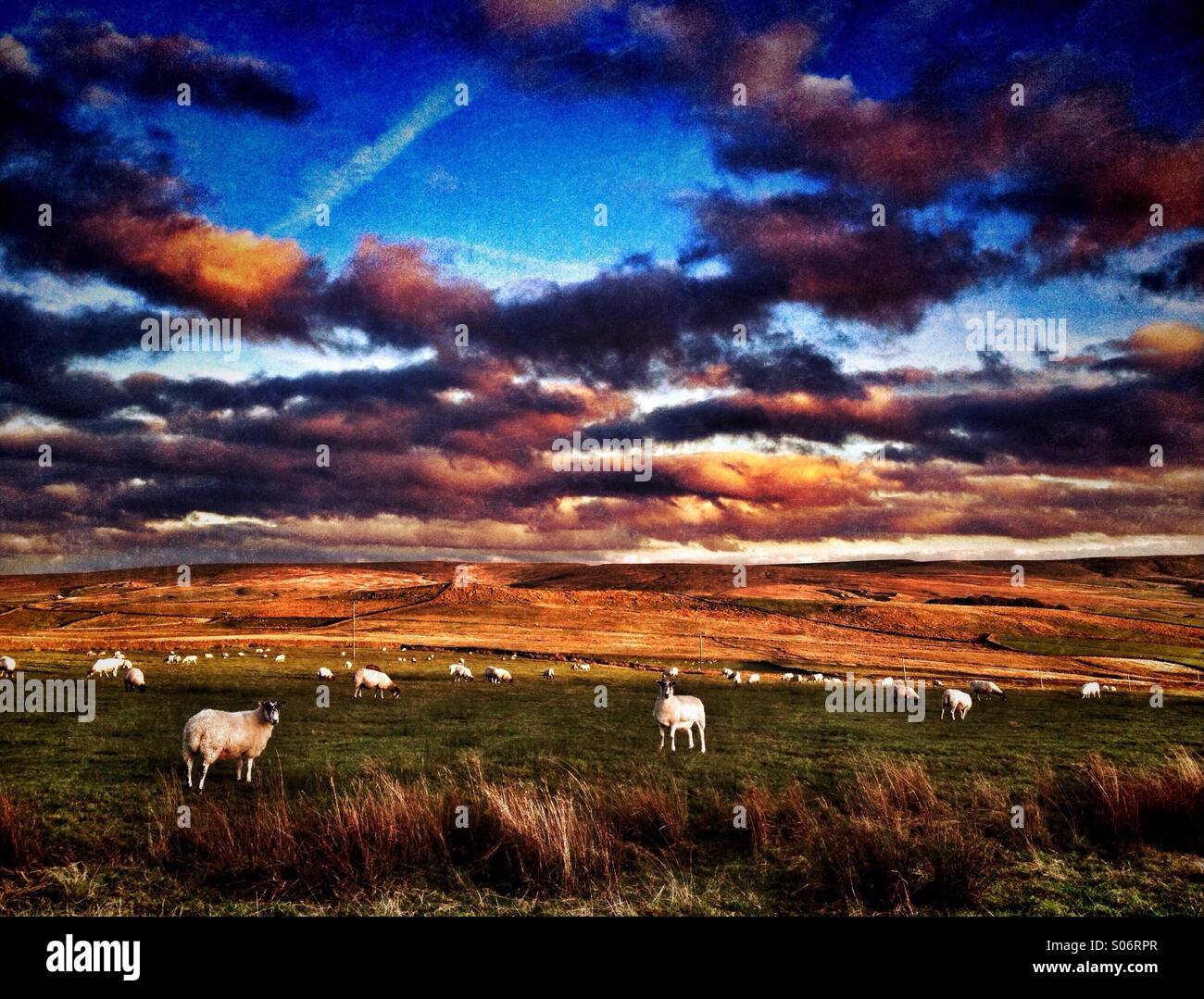 High moors of Pendle at dusk Stock Photo - Alamy