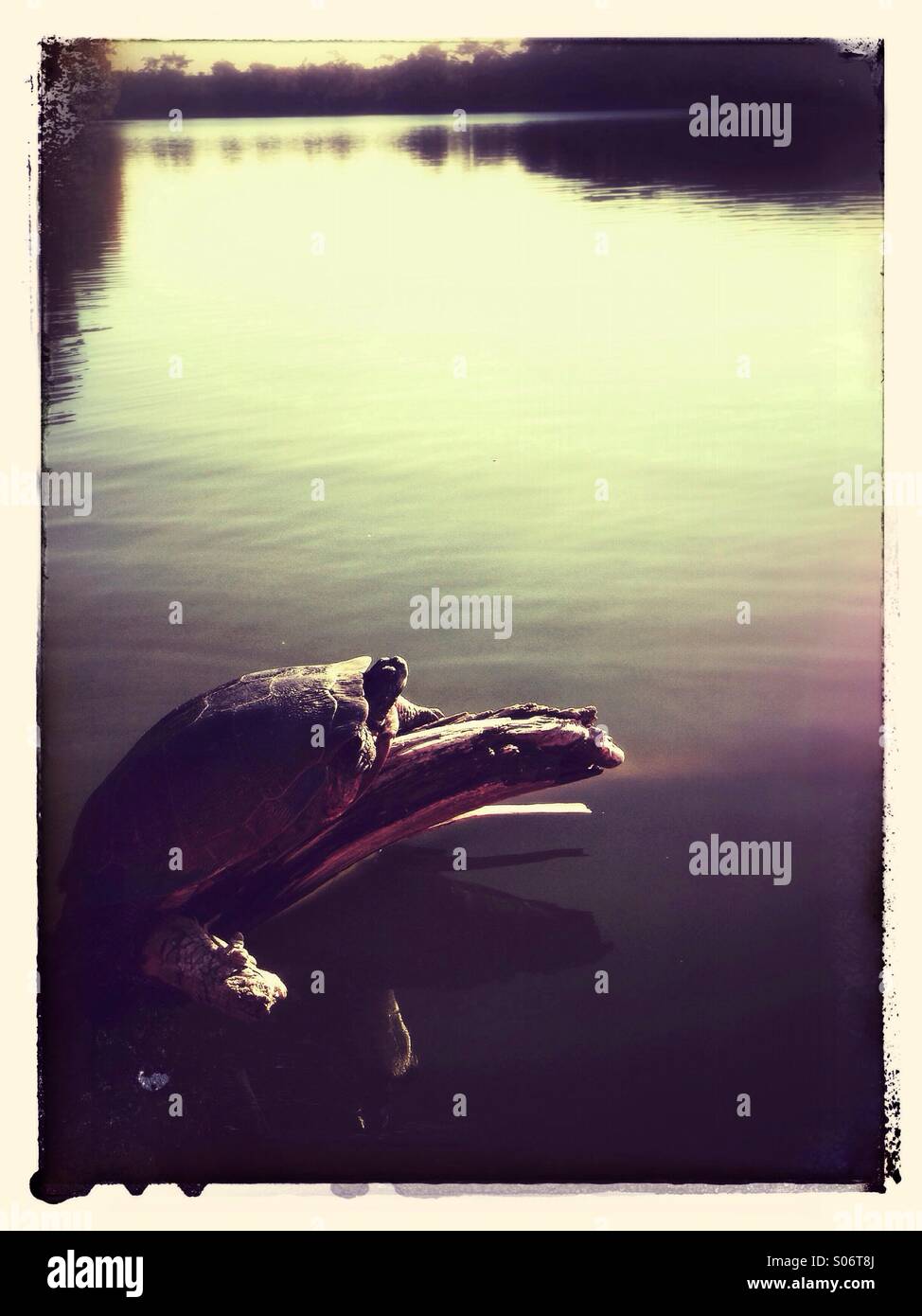 Billington sea hi-res stock photography and images - Alamy