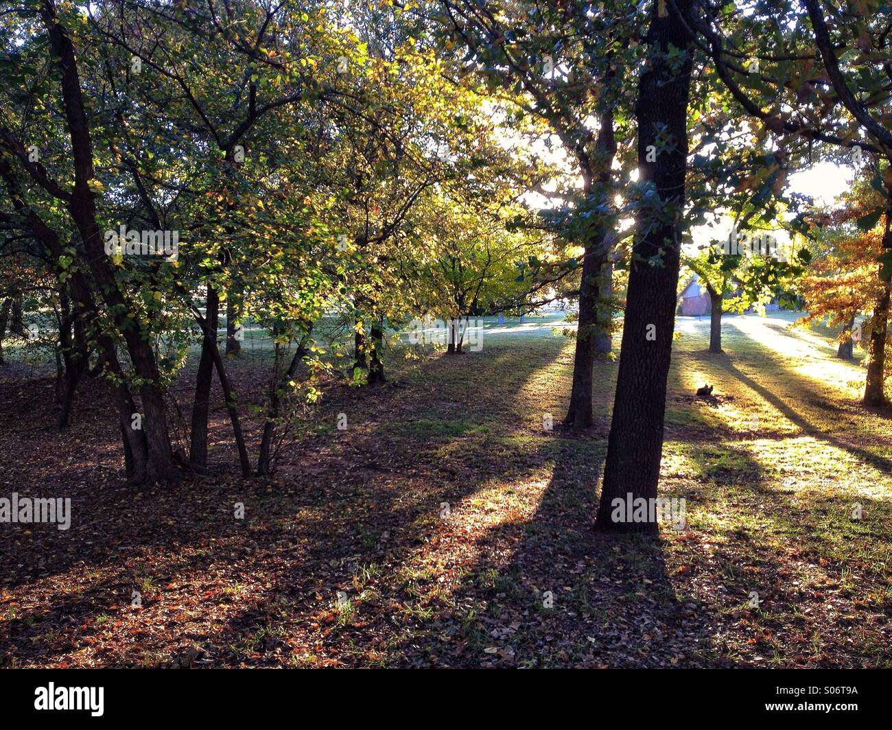 Strong shadows hi-res stock photography and images - Alamy