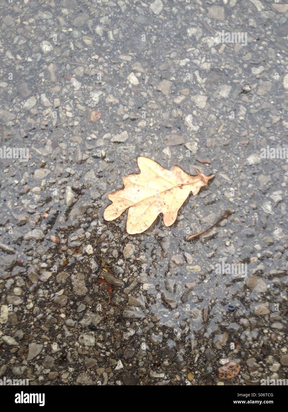 Rain on floor hi-res stock photography and images - Alamy