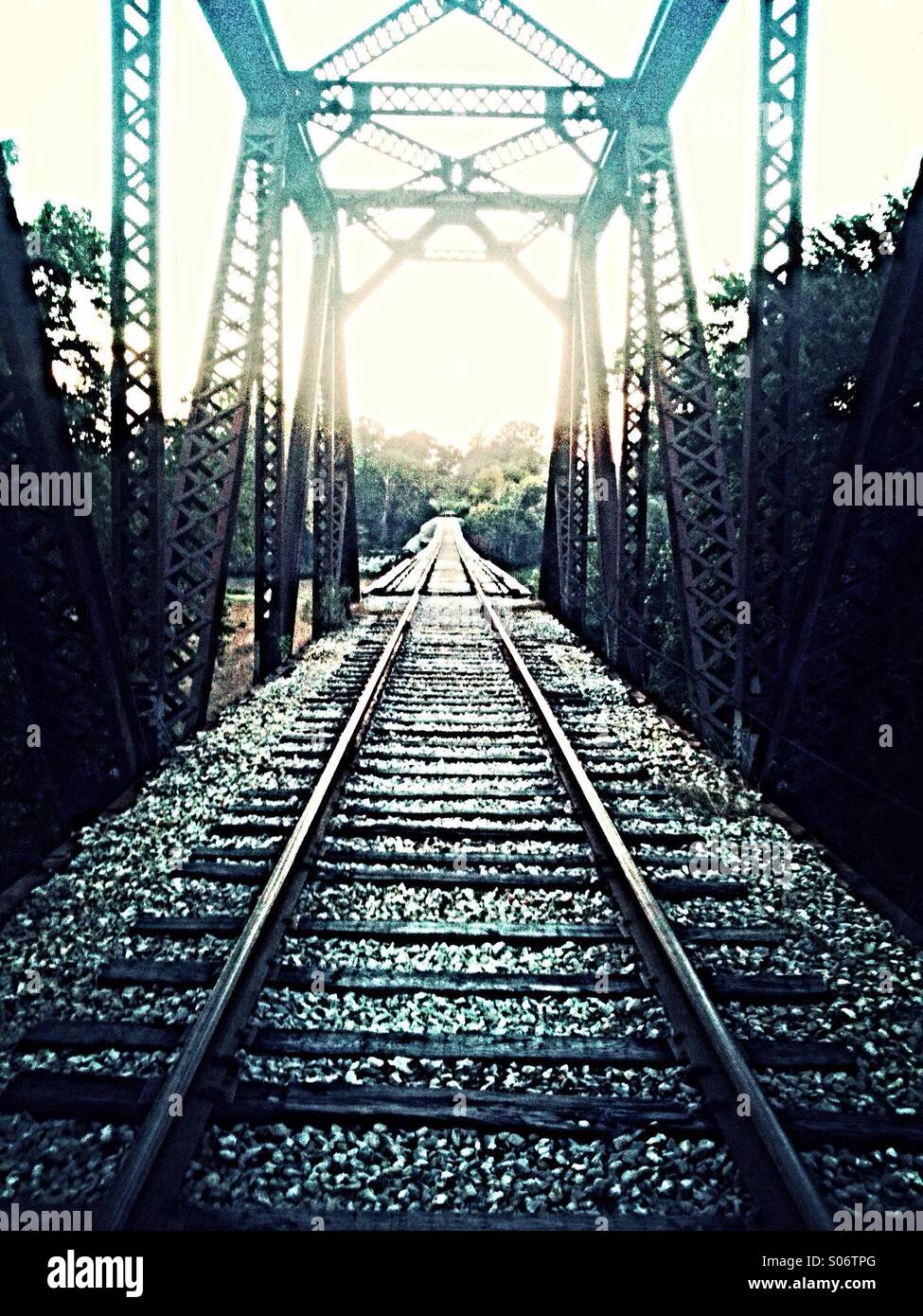 Rail road and trees hi-res stock photography and images - Alamy