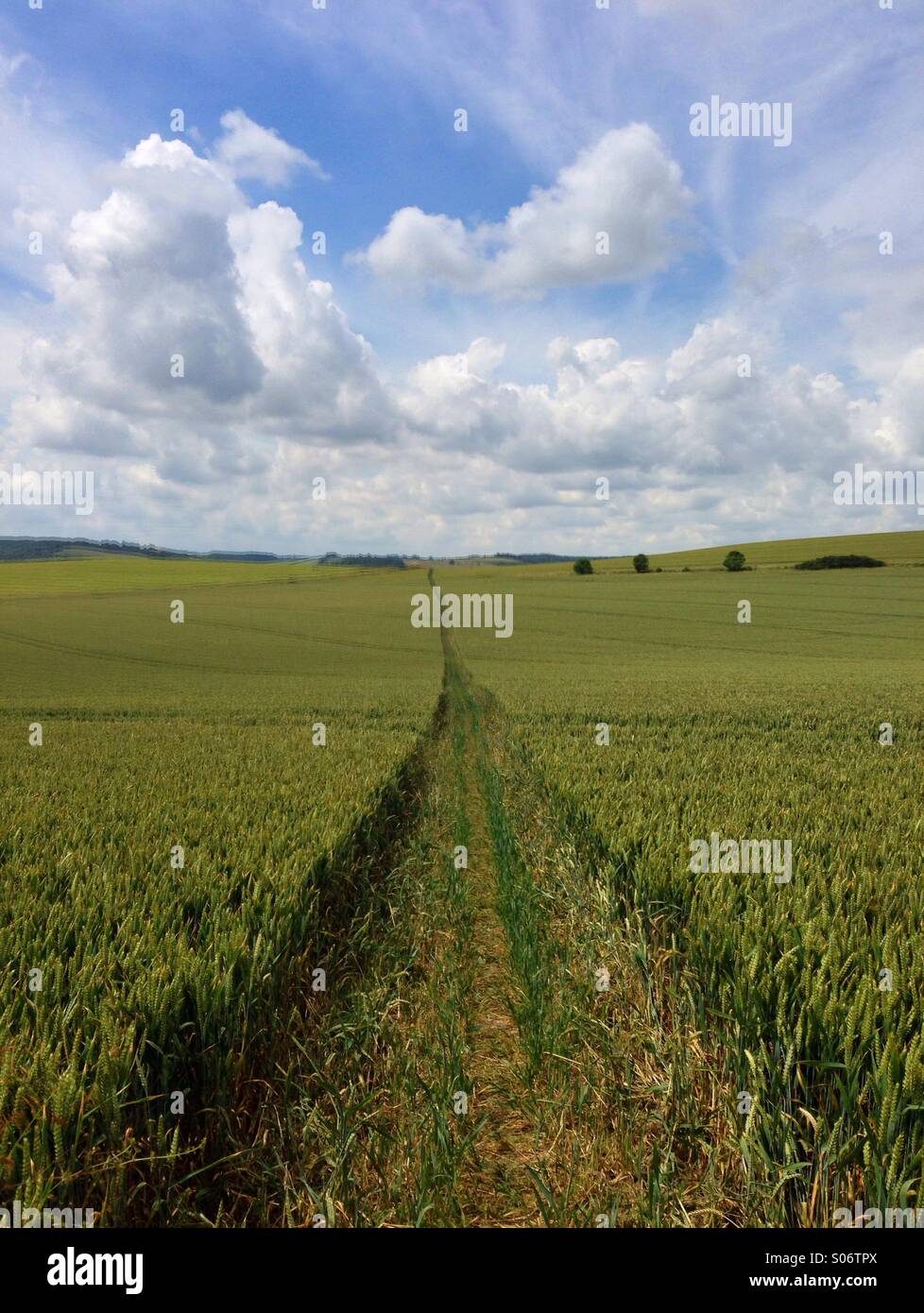 Long field with path going into the distance Stock Photo - Alamy
