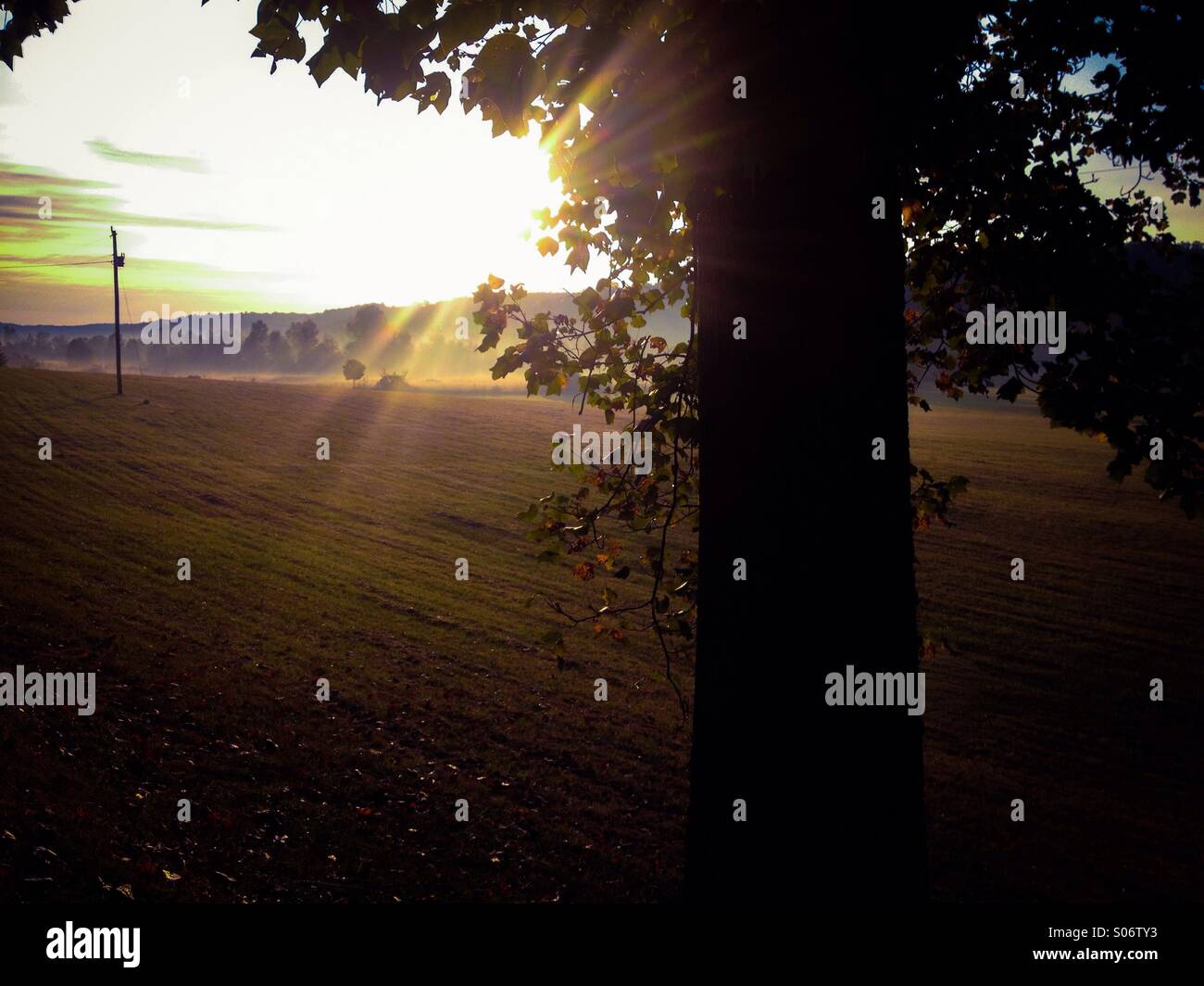 Sunny magical hi-res stock photography and images - Alamy