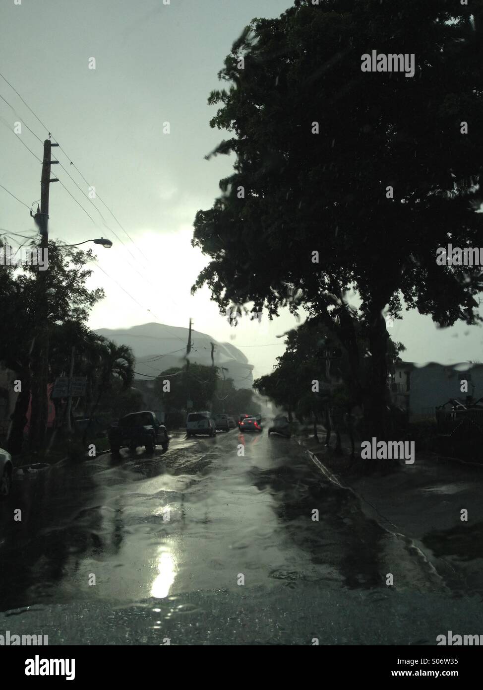 Urban summer rain Stock Photo - Alamy