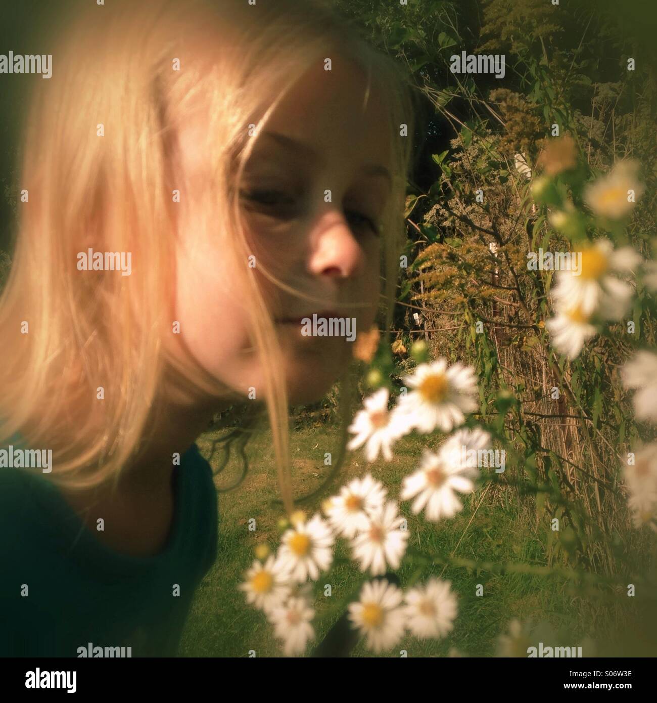 A child taking time to smell the flowers Stock Photo - Alamy
