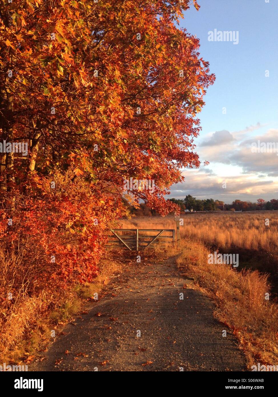 Change of seasons hi-res stock photography and images - Alamy