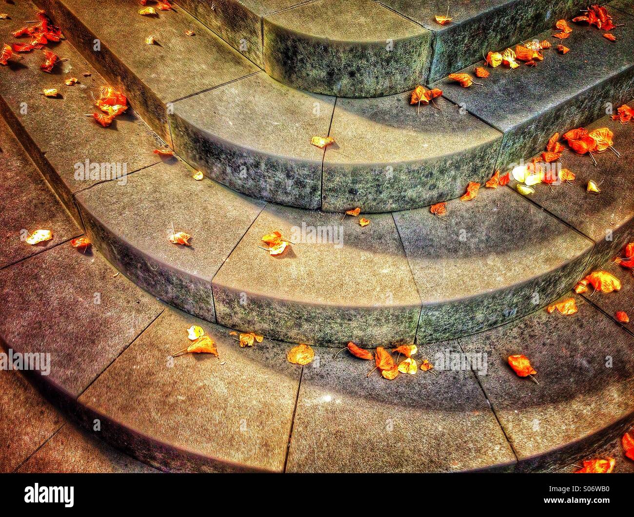 Autumn leaves and steps Stock Photo - Alamy