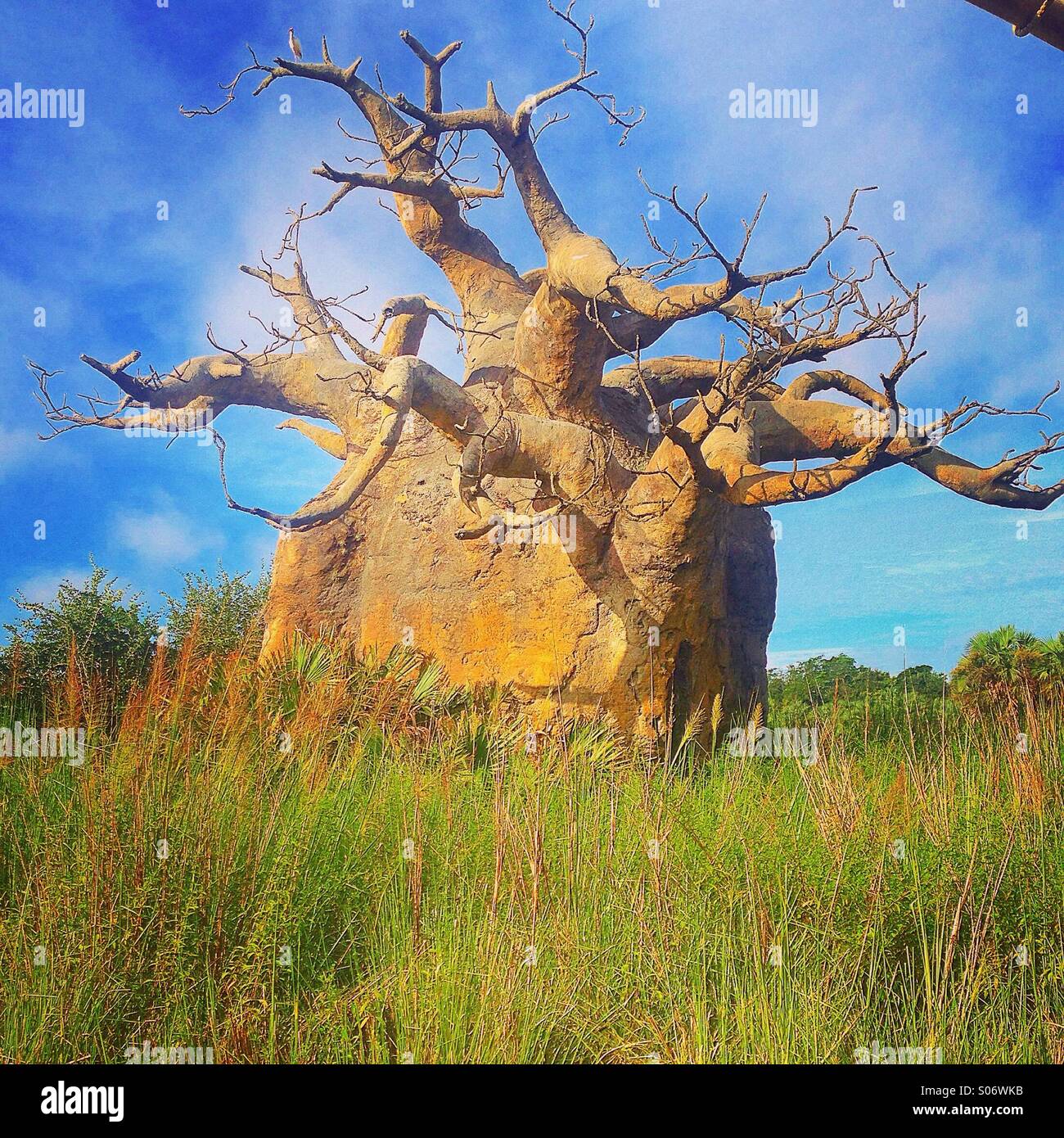 Rare Plants And Trees High Resolution Stock Photography and Images - Alamy