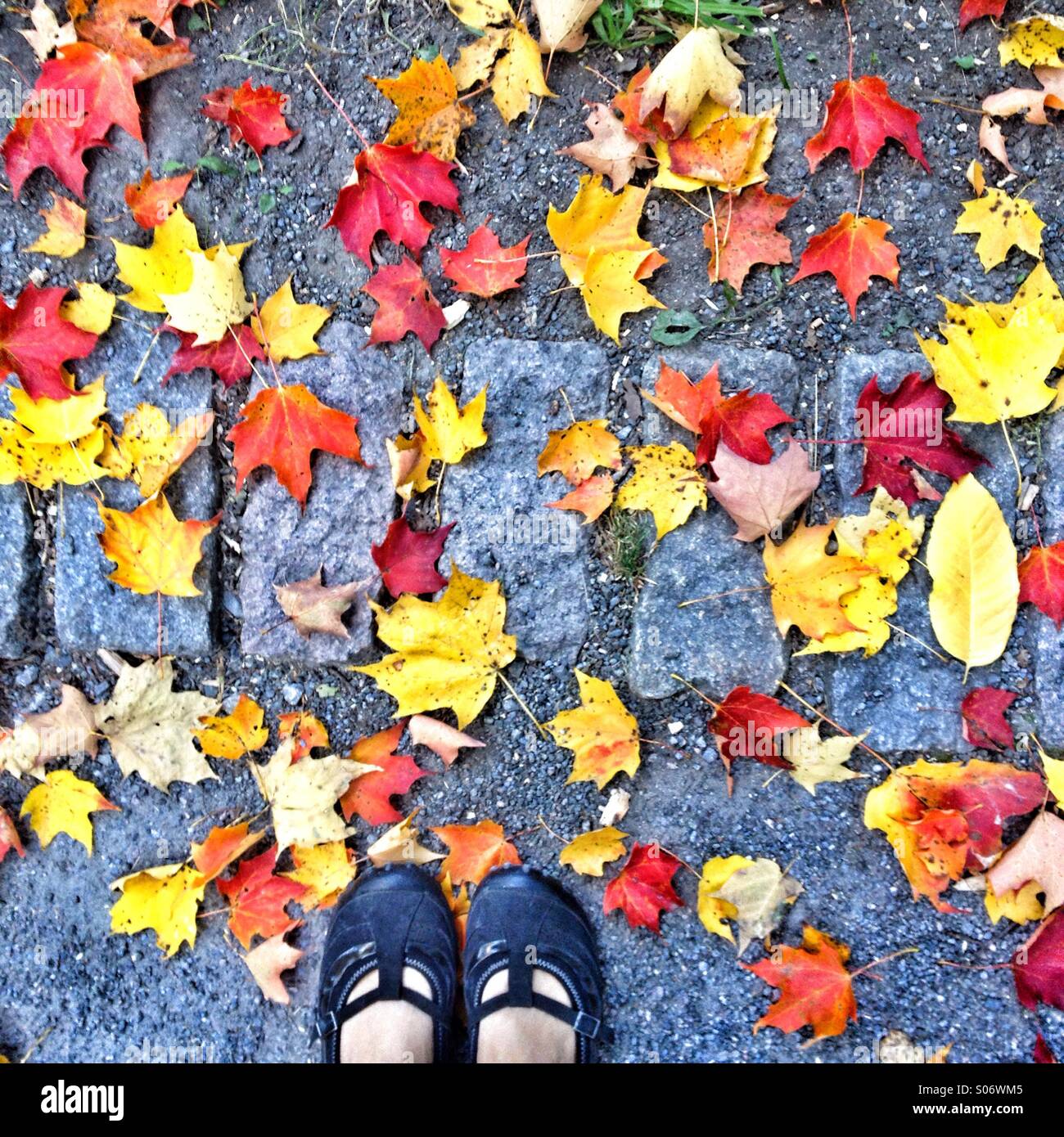 Female feet autumn shoes hi-res stock photography and images - Alamy