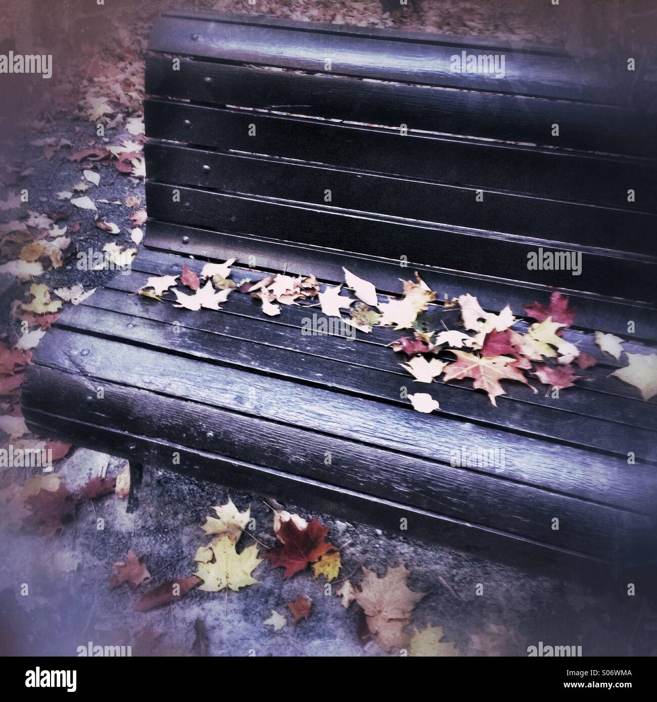 Dead bench hi-res stock photography and images - Alamy
