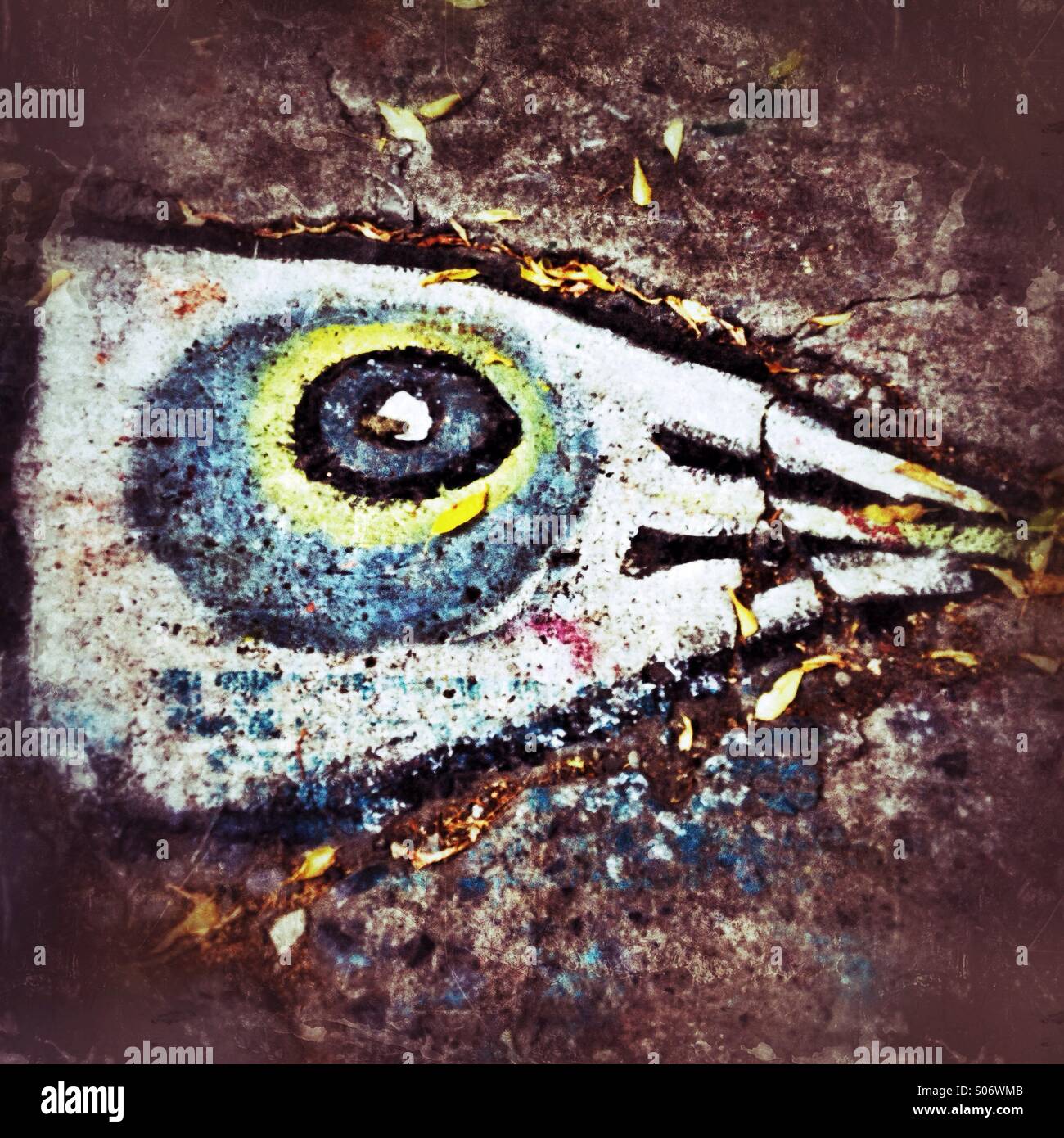 Graffiti fish hi-res stock photography and images - Alamy