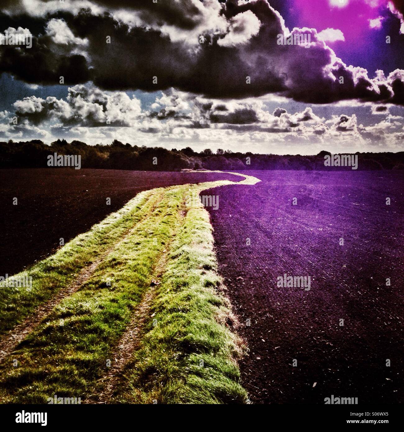 Grass footpath across freshly ploughed field Stock Photo - Alamy