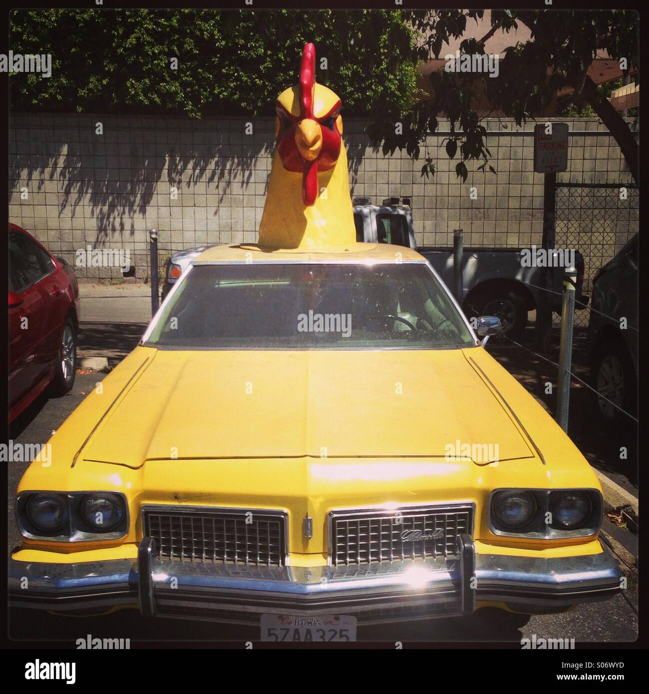 Chicken car hi-res stock photography and images - Alamy