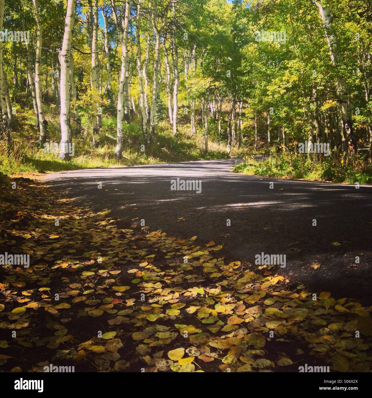 Alpine loop hi-res stock photography and images - Alamy