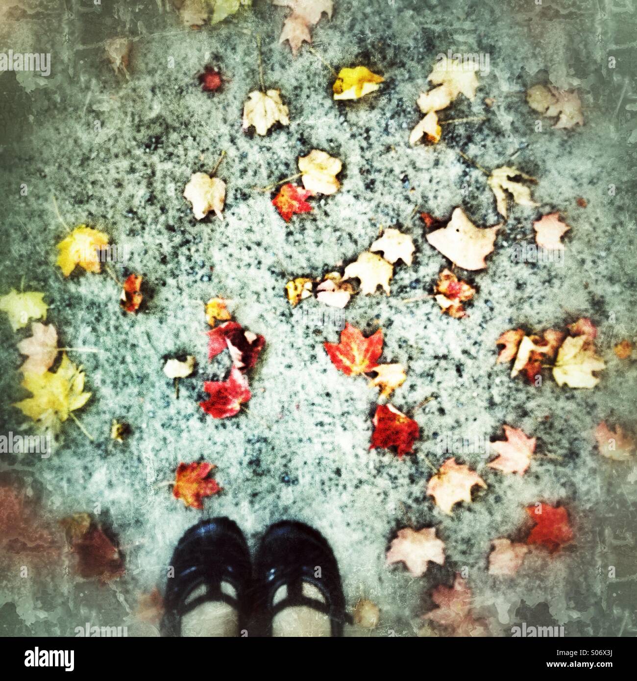 Shoes fall hi-res stock photography and images - Alamy