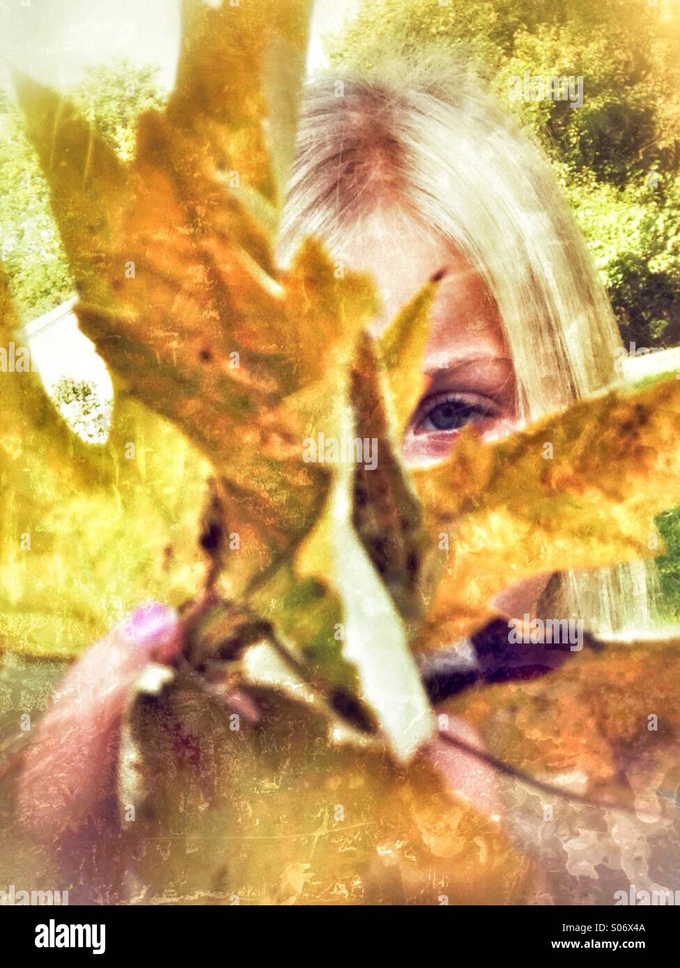 A girl hiding behind fall leaves Stock Photo - Alamy