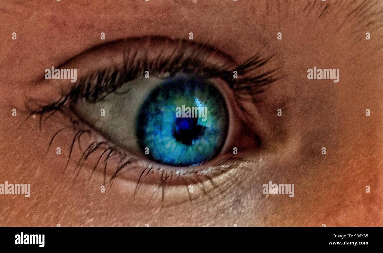 Catchlight eye hi-res stock photography and images - Alamy