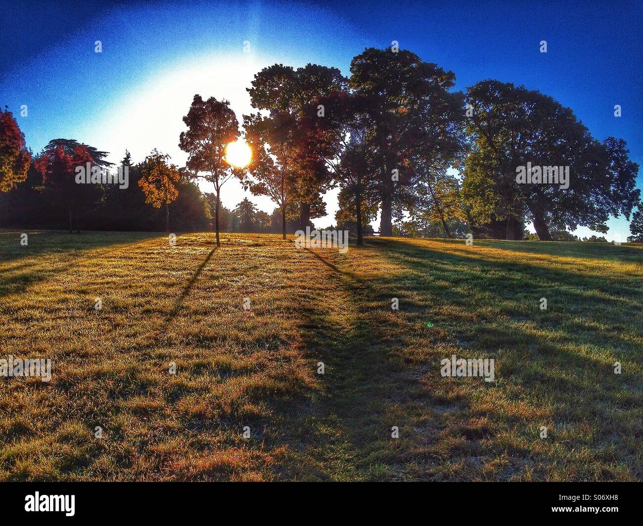 Shadows through trees hi-res stock photography and images - Alamy