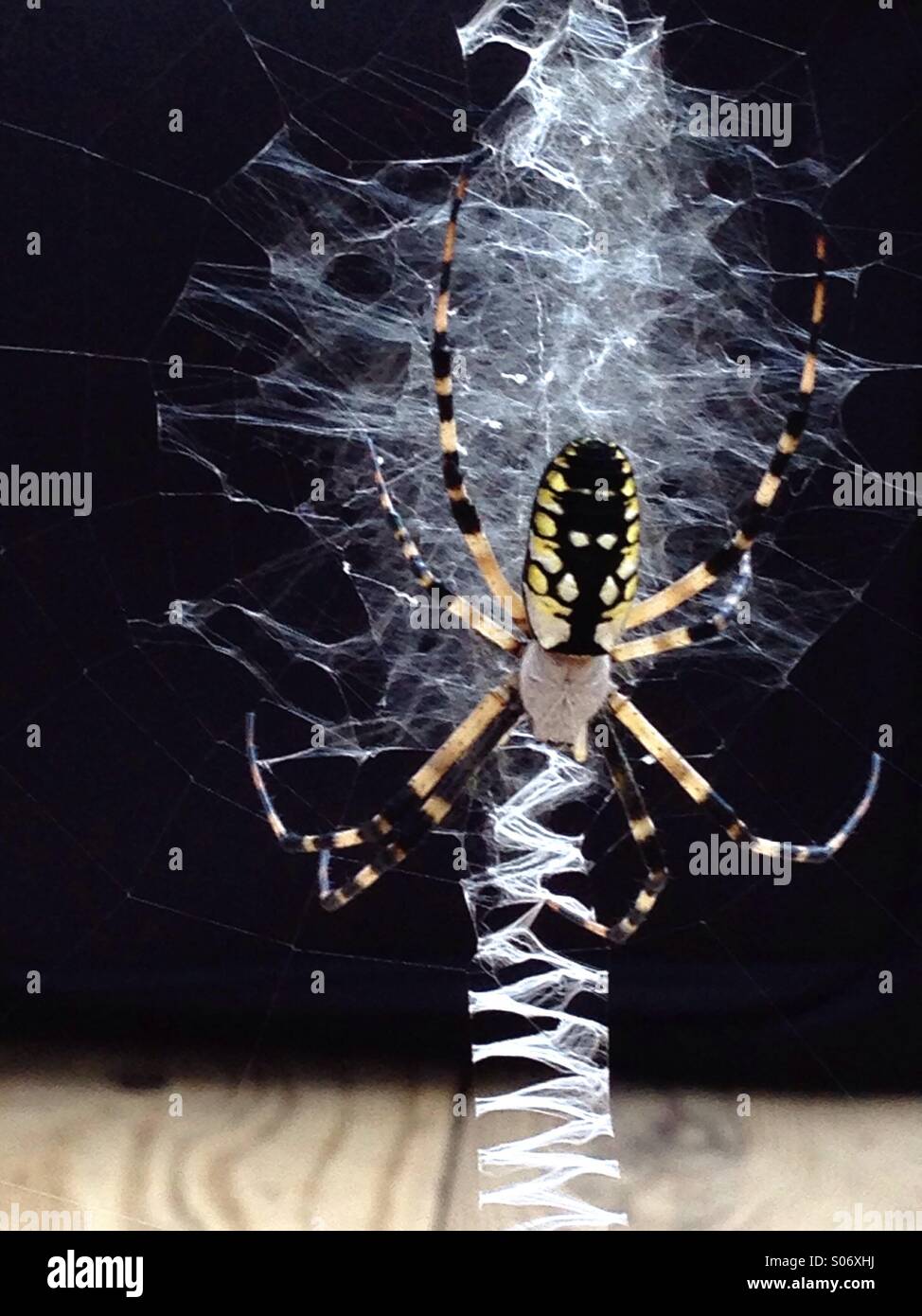 Web writing hi-res stock photography and images - Alamy