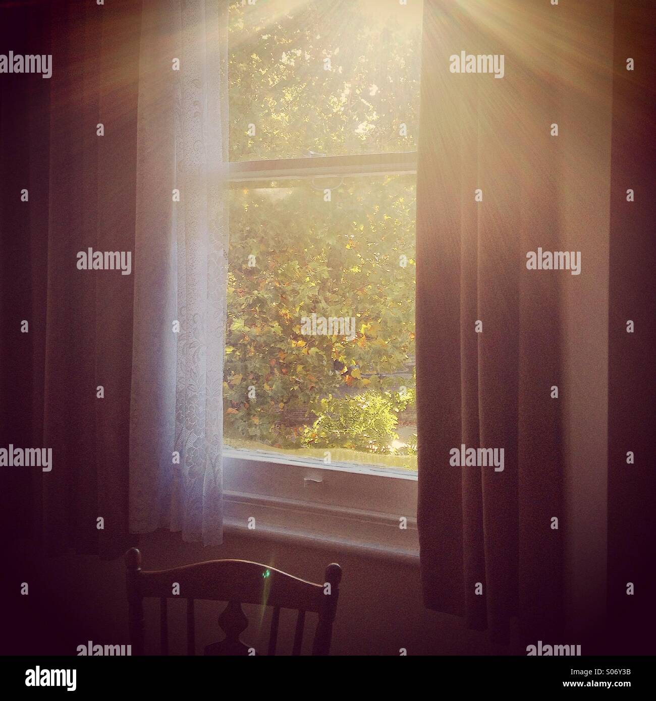 Sunlight through window in October Stock Photo - Alamy