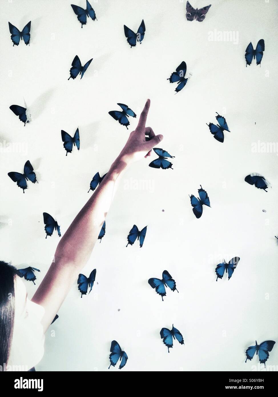 Pointing At Butterflies High Resolution Stock Photography and Images ...