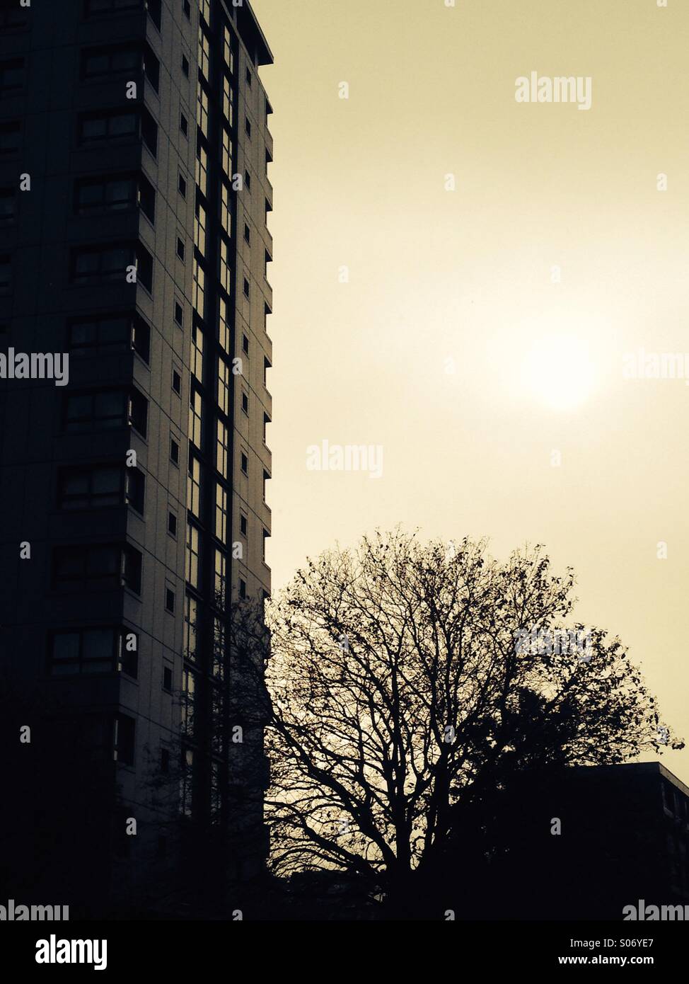 Tree and tower block hi-res stock photography and images - Alamy