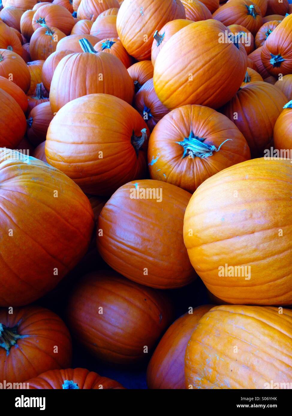 Fall beer hi-res stock photography and images - Alamy