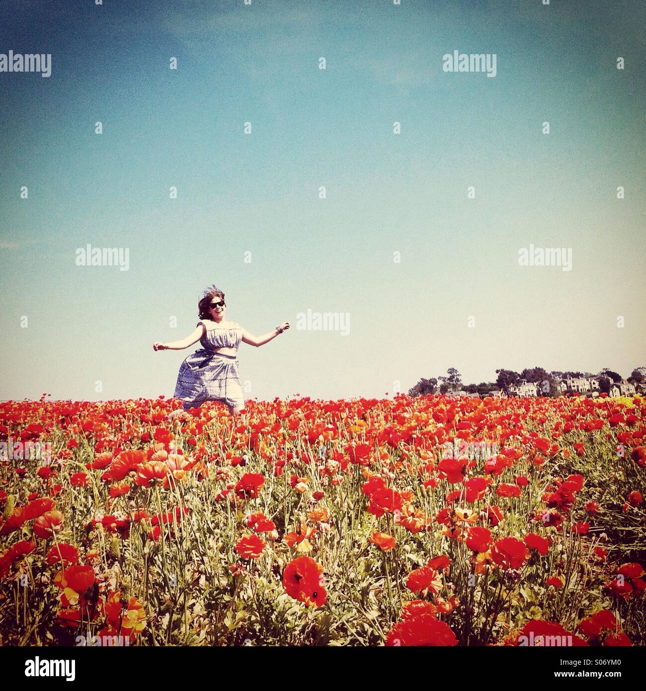 Dancing poppies hi-res stock photography and images - Alamy