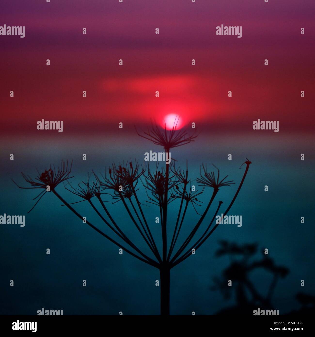 Red sun rising over a cool sea Stock Photo - Alamy