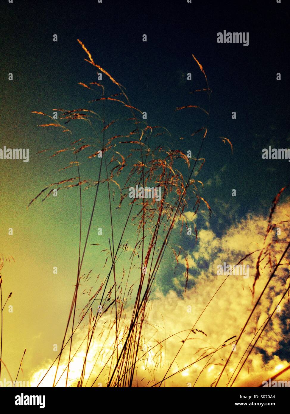 Art fall hi-res stock photography and images - Alamy