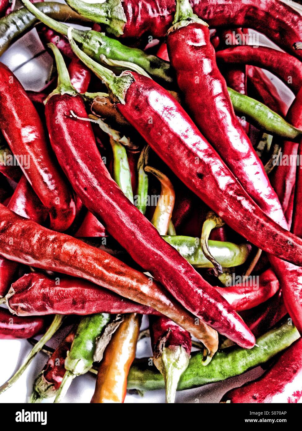 Ripe chilli peppers Stock Photo - Alamy