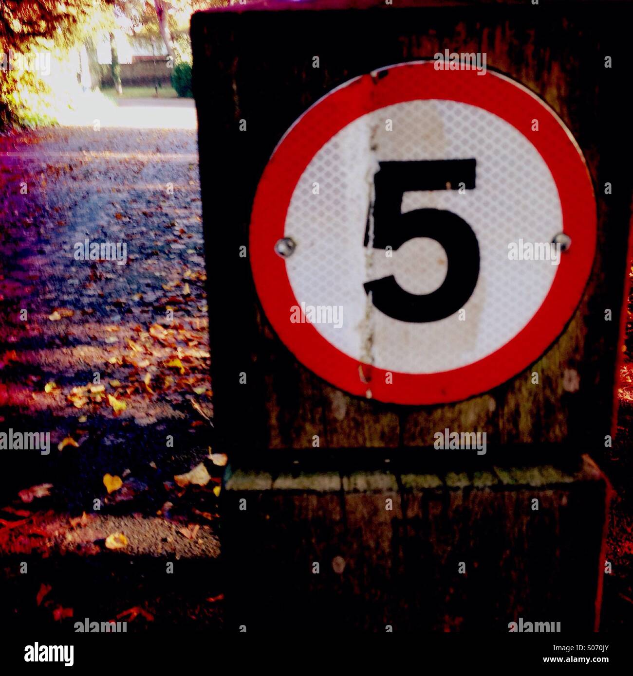 Speed cycle hi-res stock photography and images - Alamy