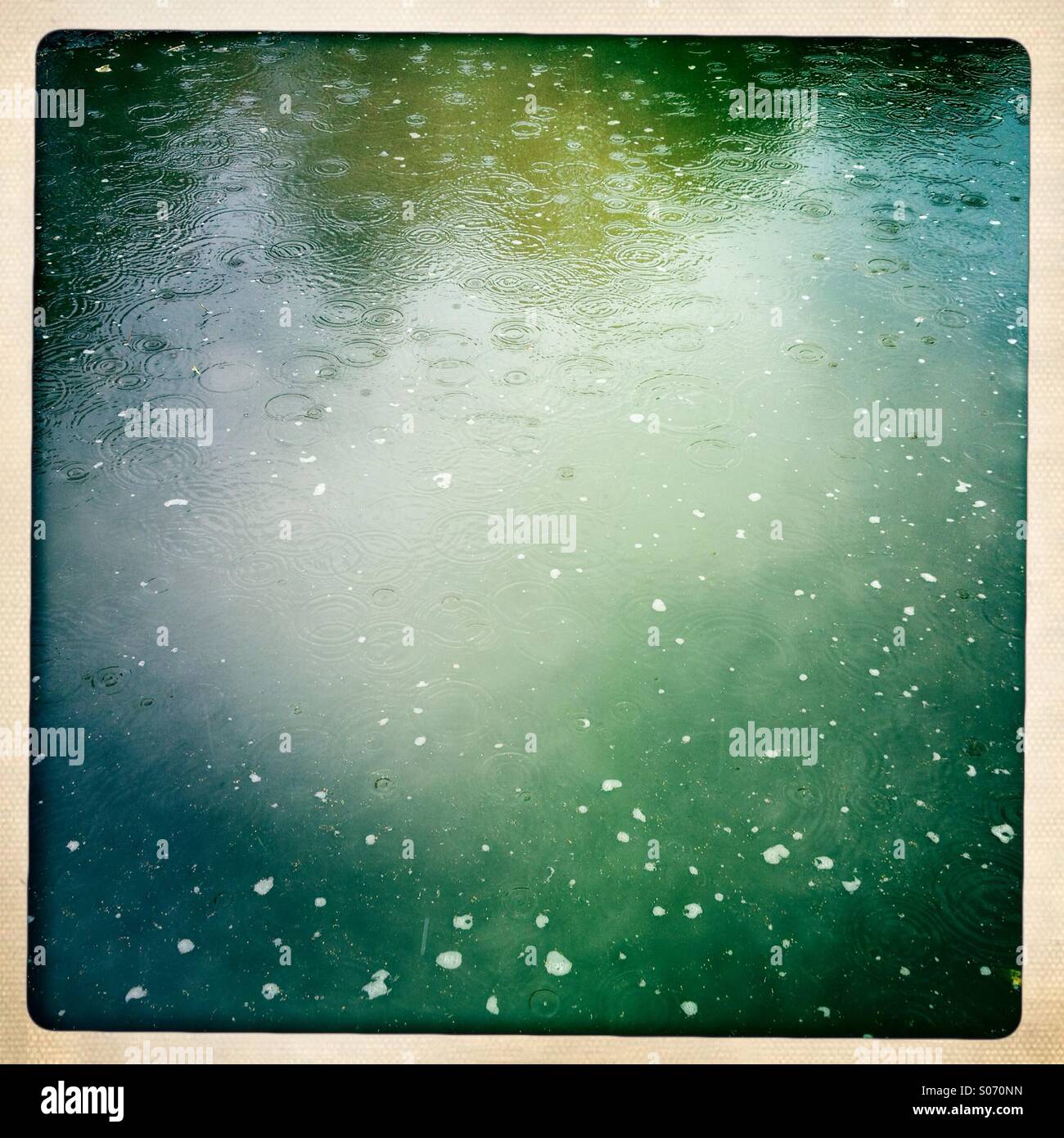 Raindrops falling in a pool of water Stock Photo - Alamy