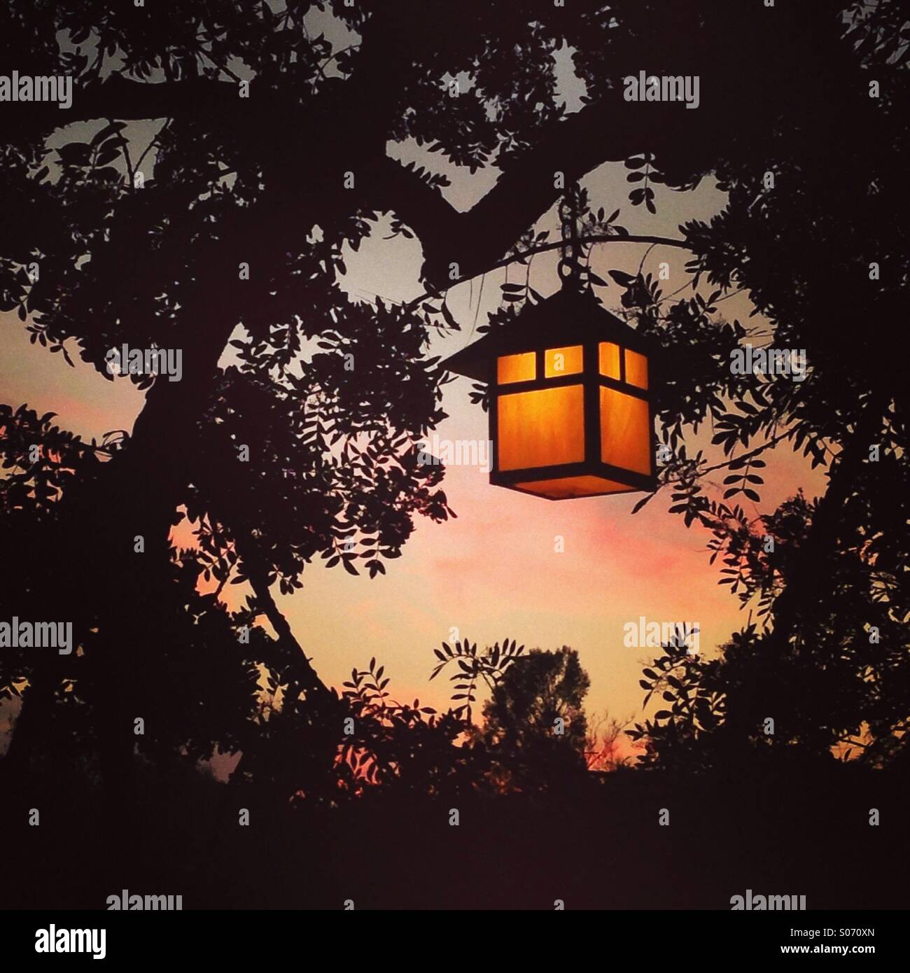 Hanging lantern at sunset Stock Photo - Alamy