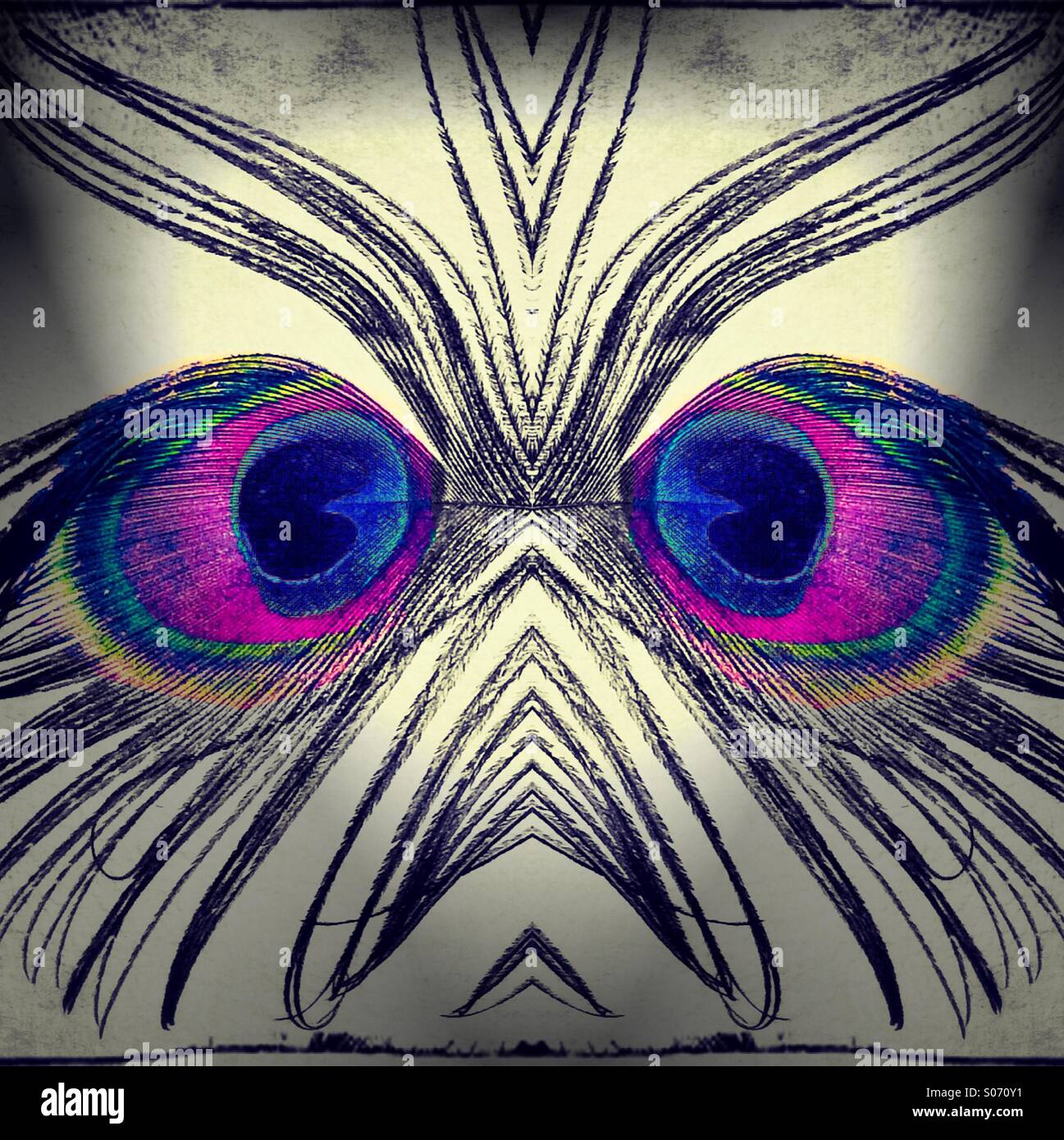 Peacock face hi-res stock photography and images - Alamy