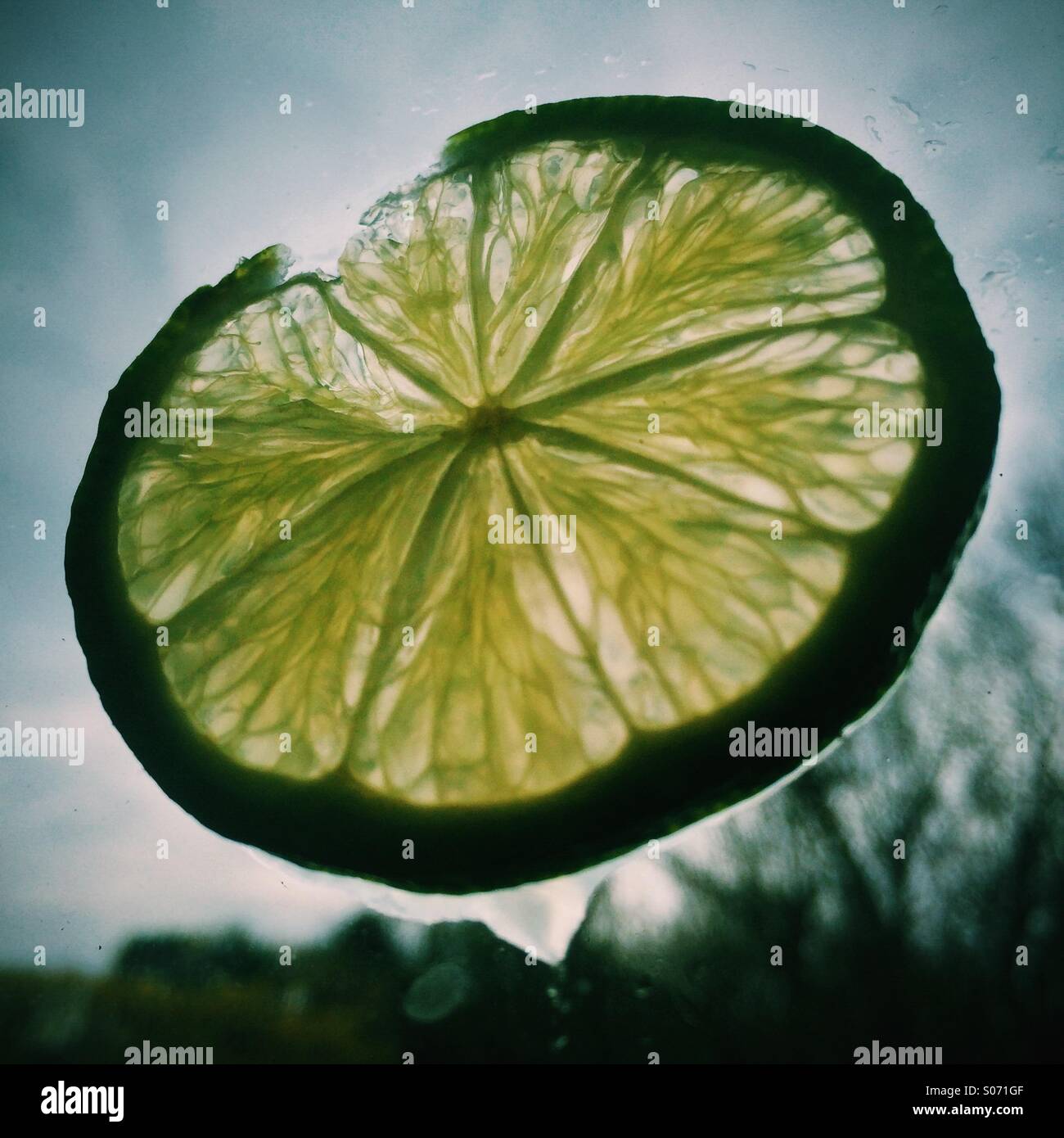 Green segments hi-res stock photography and images - Alamy