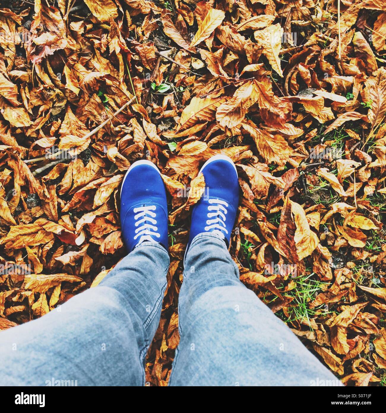 Walking feet on fallen autumn leaves Stock Photo - Alamy