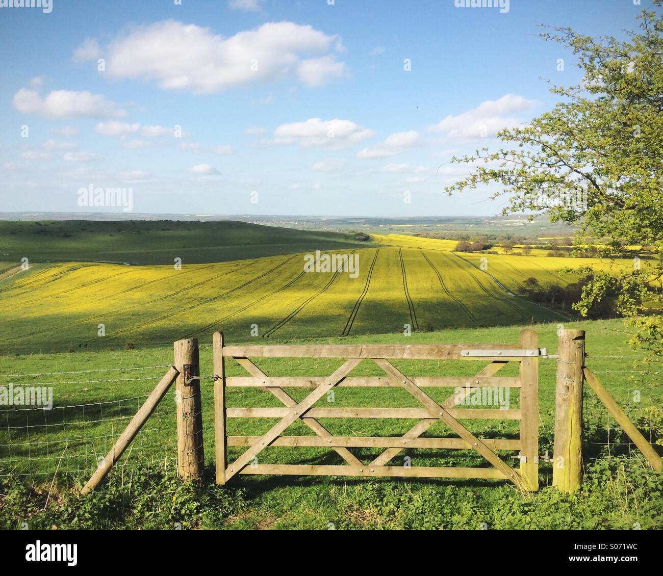 British summer time in the chilterns Stock Photo - Alamy
