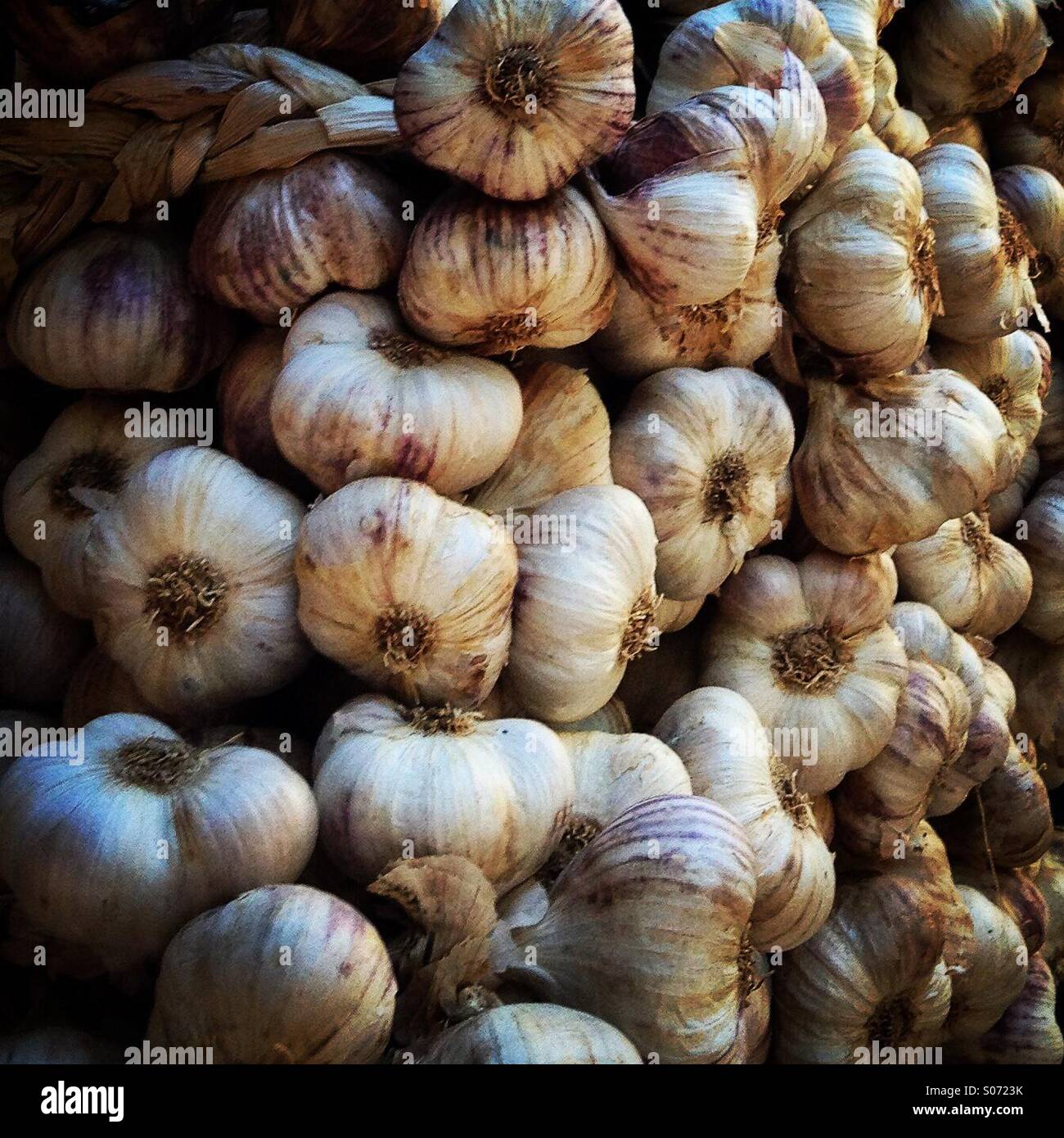 Garlic displayed on a market stall in lower Normandy, France. Mobile ...