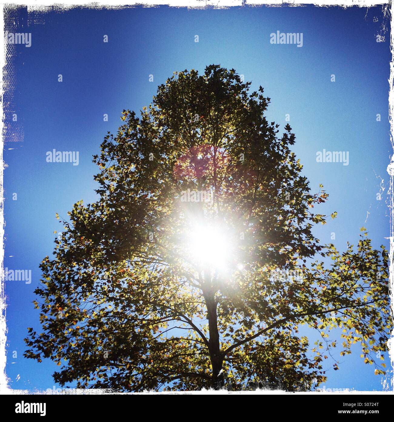 Fall sunburst hi-res stock photography and images - Alamy