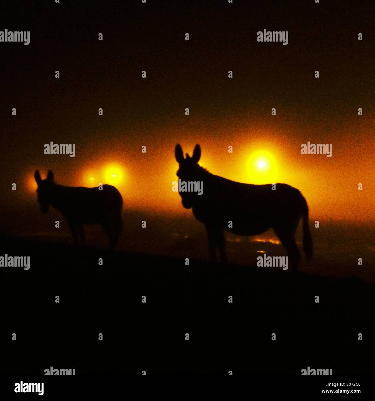 Midnight fog hi-res stock photography and images - Alamy