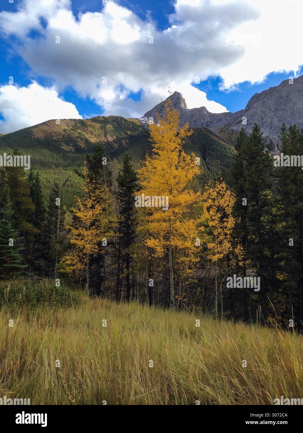 Wedge pond area hi-res stock photography and images - Alamy