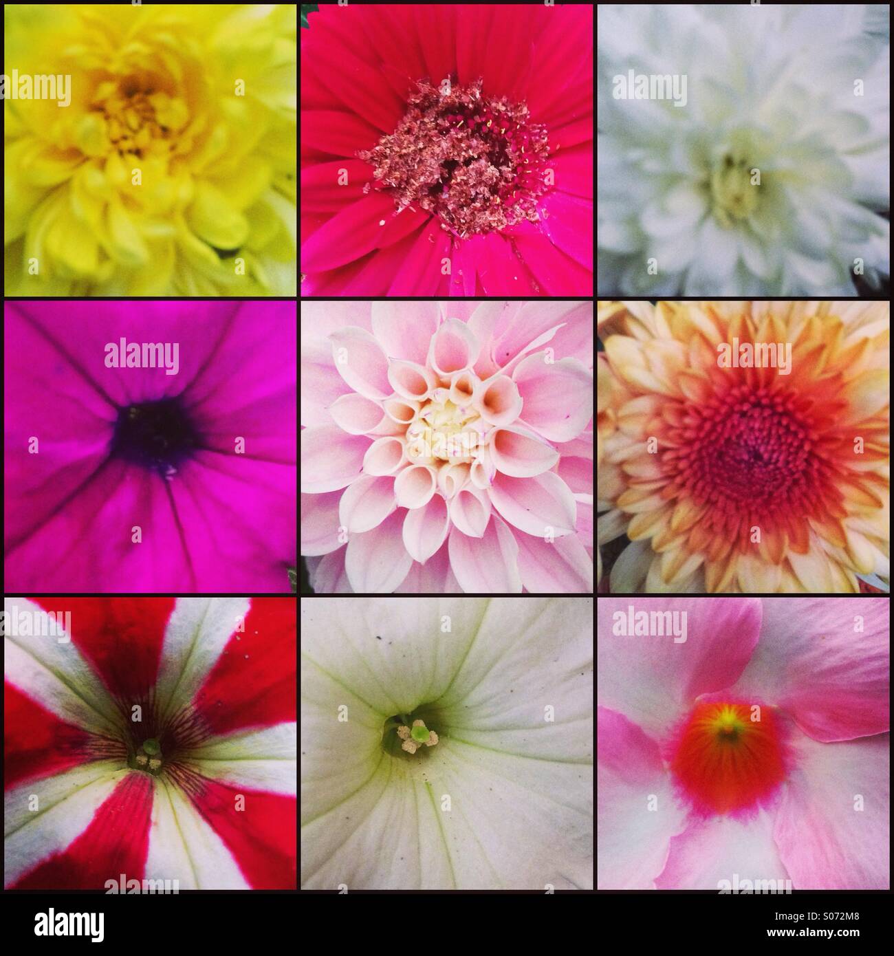 Grid of nine hi-res stock photography and images - Alamy