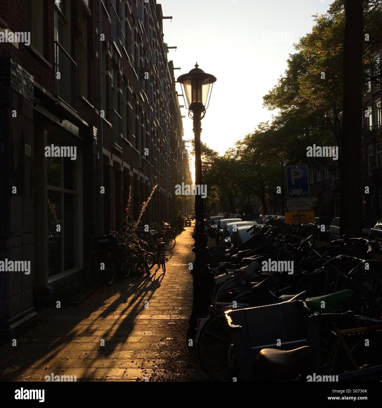 Perfect line up hi-res stock photography and images - Alamy