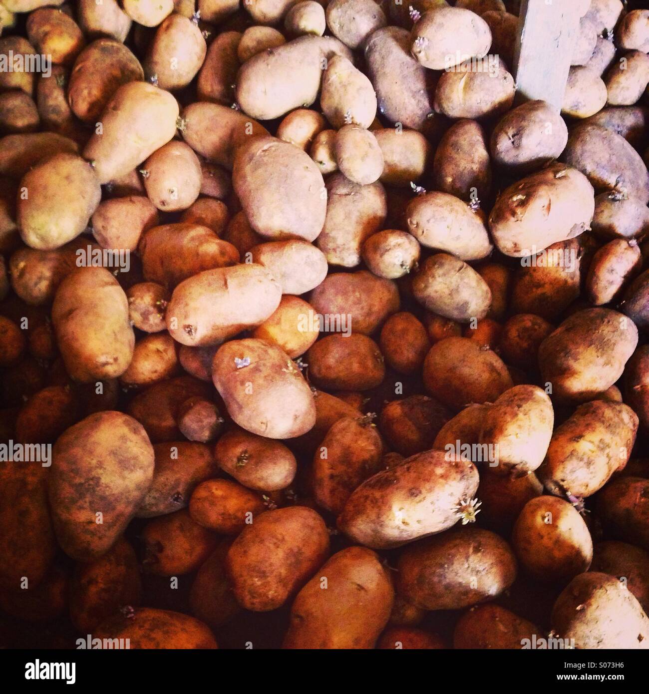 Potatoes pattern hi-res stock photography and images - Alamy